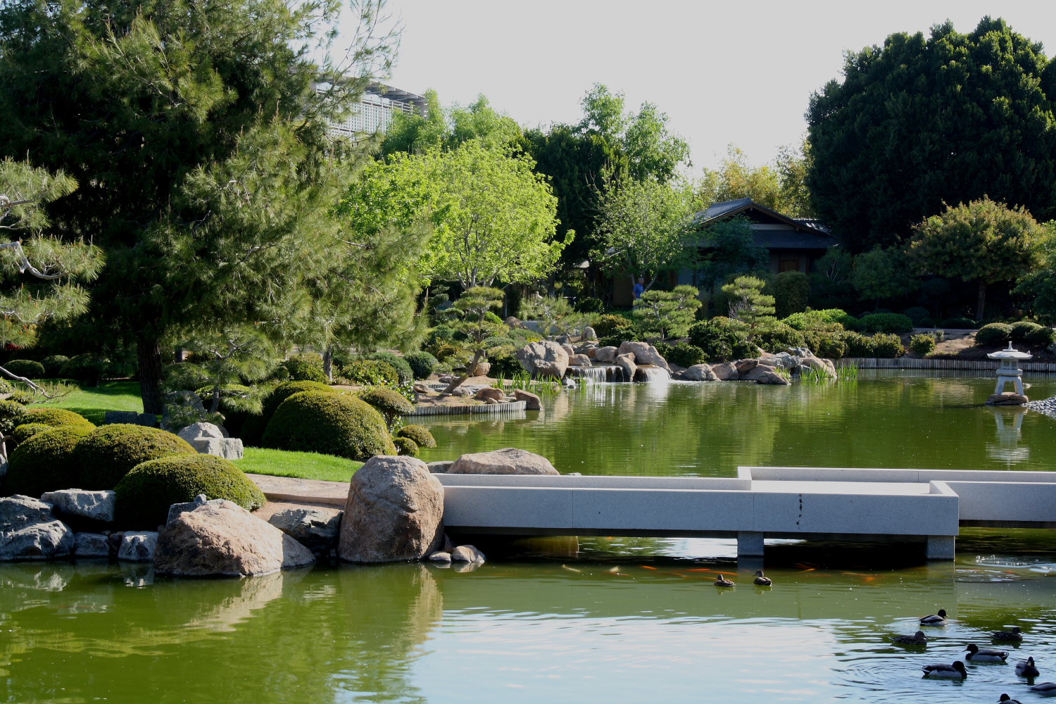Ladee's Travels: Phoenix - Japanese Friendship Garden Ro Ho En