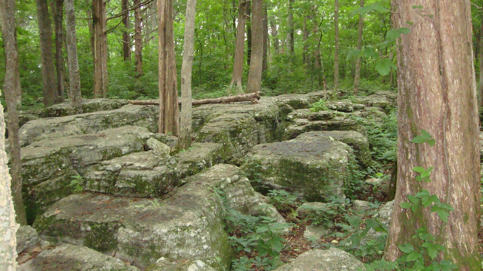 All The Good Names Were Taken: Stones River National Battlefield