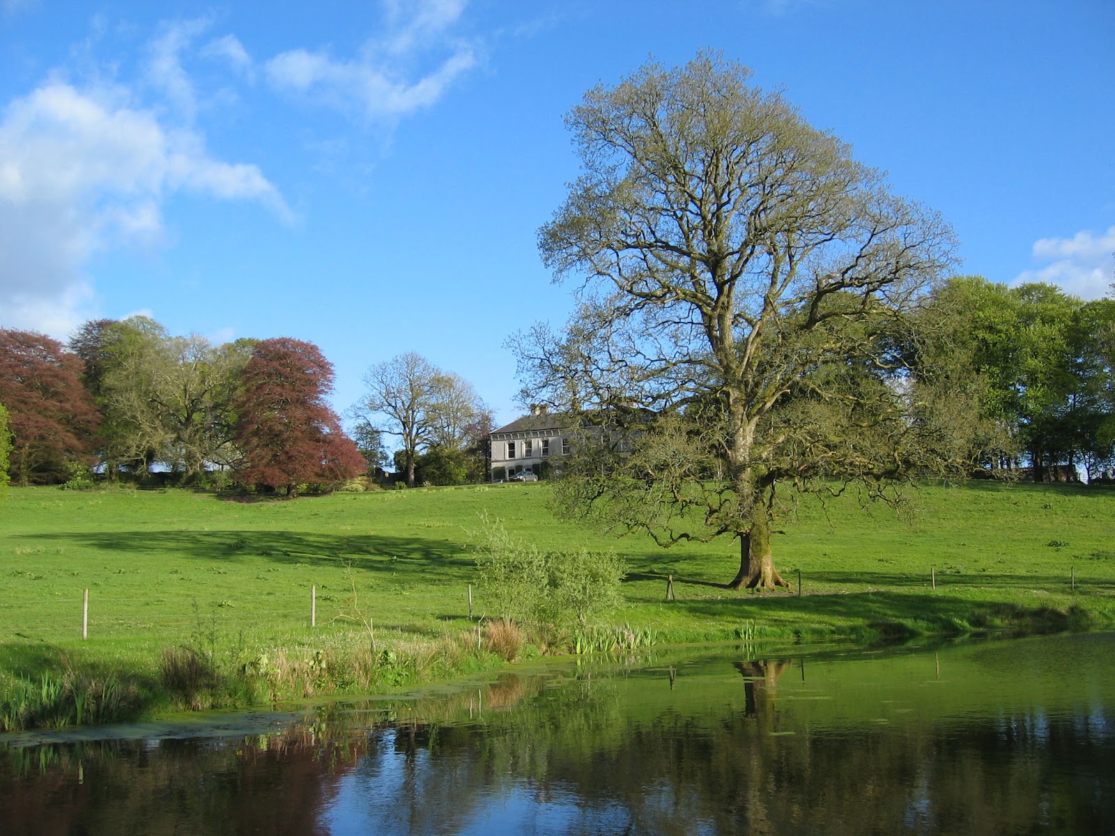 loveisspeed.......: Ballyvolane House, County Cork İreland to stay......