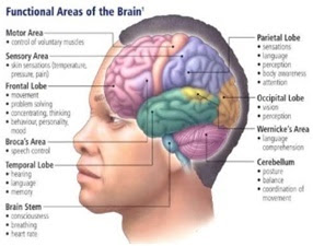 Phineas Gage - The study case by Rita Mendes