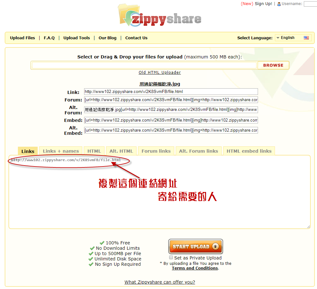 簡單易用的免費空間 ZippyShare