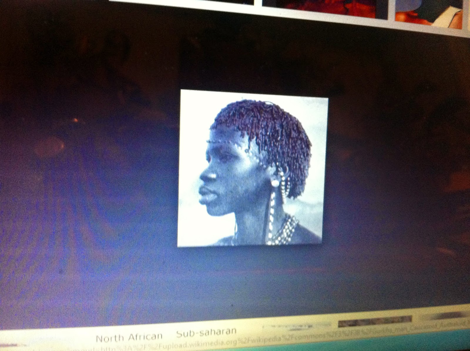 THE BLACK SOCIAL HISTORY:: BLACK SOCIAL HISTORY : NEGROID - IS THE TERM ...