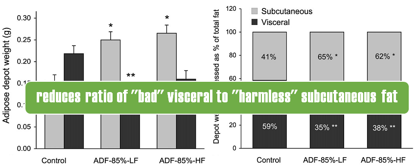 Alternate Day Fasting: Well-Researched, Proven to Be Effective. So Why ...
