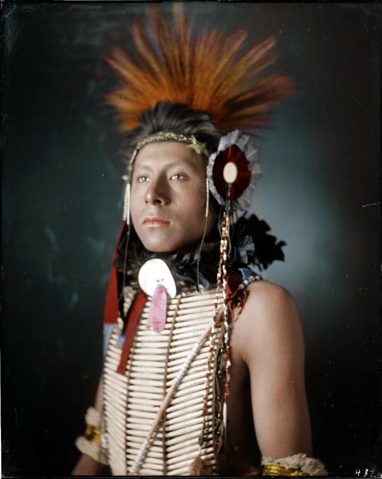 Incredible 19th Century Portraits of Native Americans Are Brought to ...
