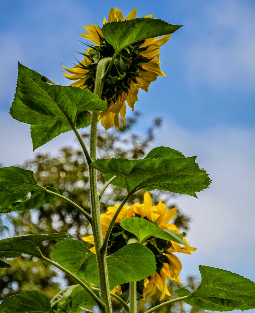 Moristotle & Co.: First Monday with Characters