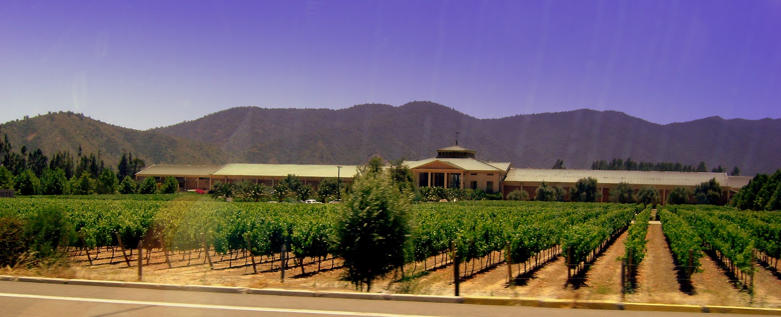 Rodrigo Palma: Places to Go: Viña del Mar, Chile