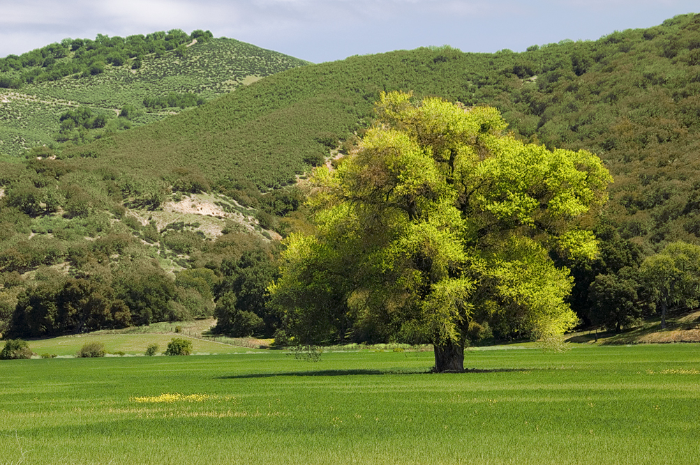 DalmDad's Photo and Travel Blog: Over the Mountain (Part 1 of 7 ...