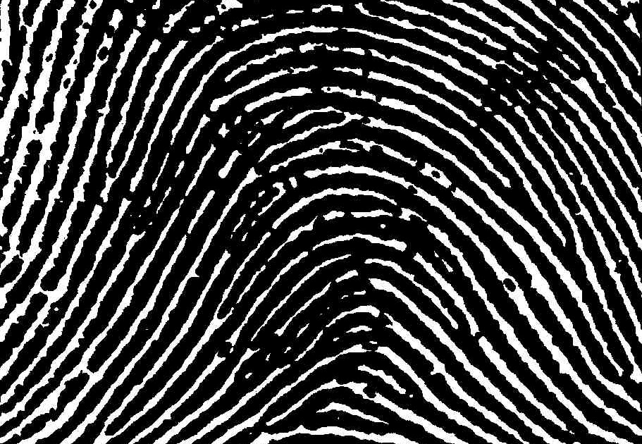 Forensics project: Basic shapes and patterns of fingerprints