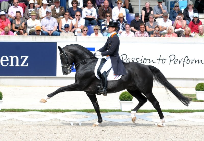 Happybluebird: Pride and Totilas