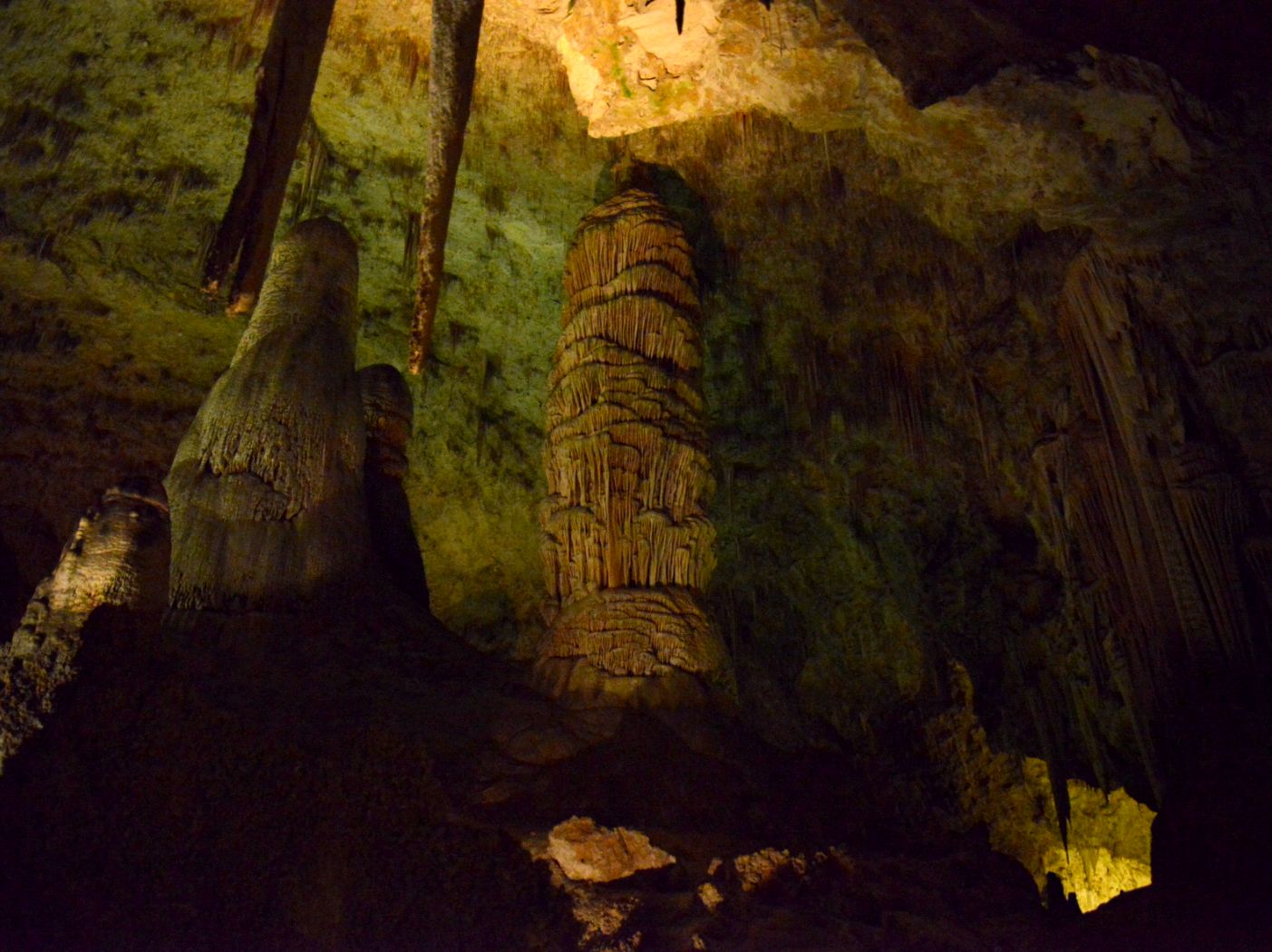 Carlsbad Caverns - light-in-leaves