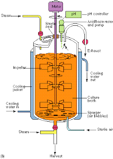 Bioreaktoradalah sebuah alat yang mendukung agensia biologis ...