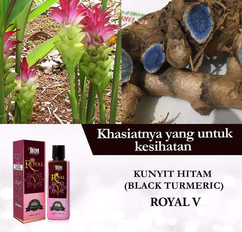 ROYAL V JRM (JAMU RATU MALAYA) | BEAUTY KIOSK