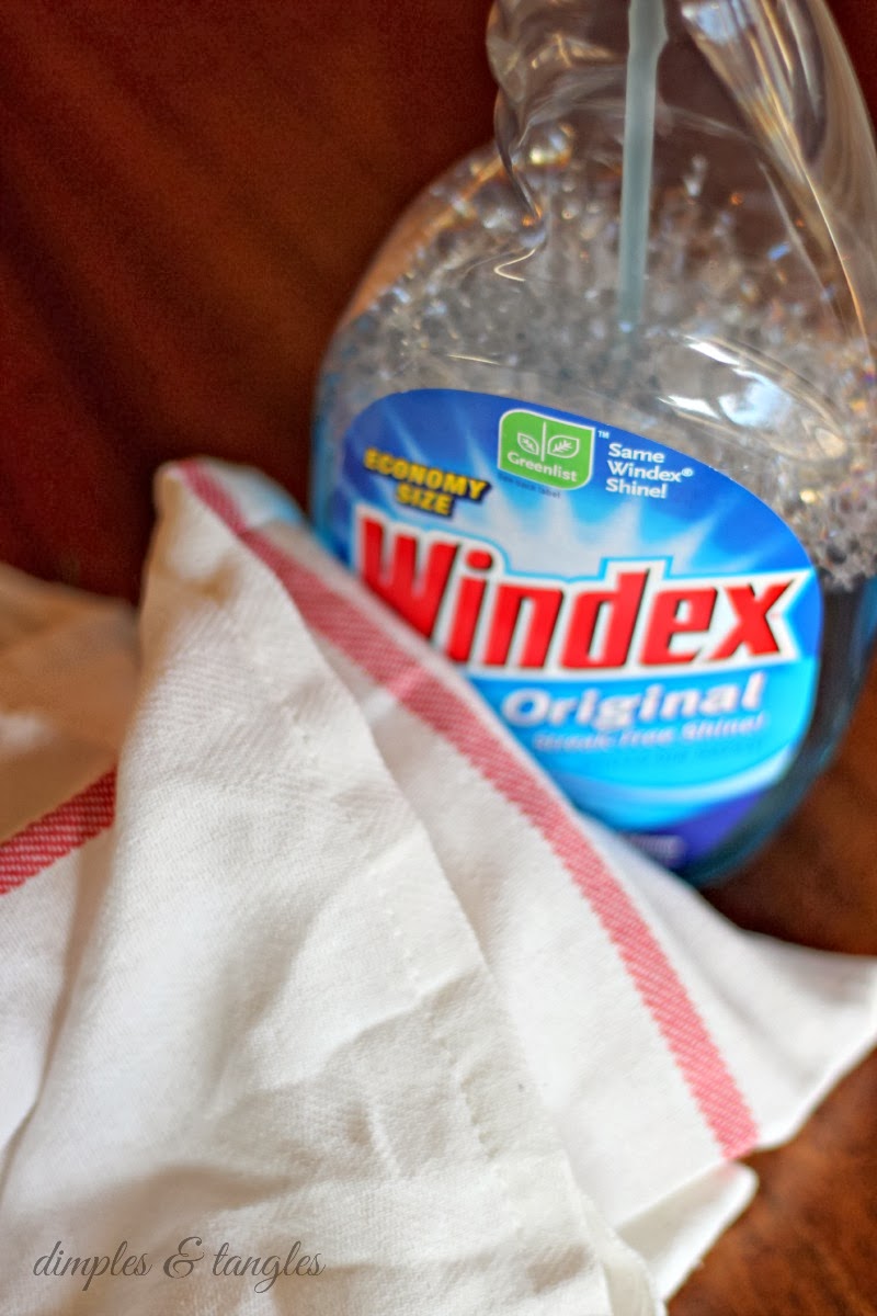 CLEAN LIGHT FIXTURES {JUST ONE THING} | Dimples and Tangles