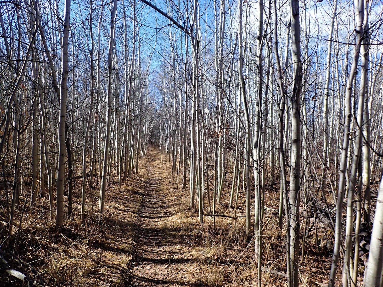 Get Me Outdoors: Weaselhead Flats