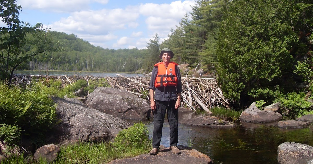 Daniel Auger: PRÉSENTATION