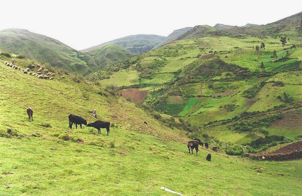 TURISMO EN EL PERU: ANDAHUAYLAS PERÚ