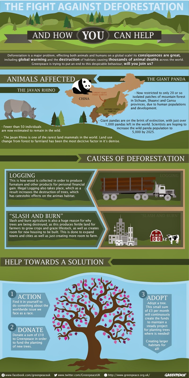 Graphic Design Portfolio: Jack Pomfret: The fight against deforestation ...