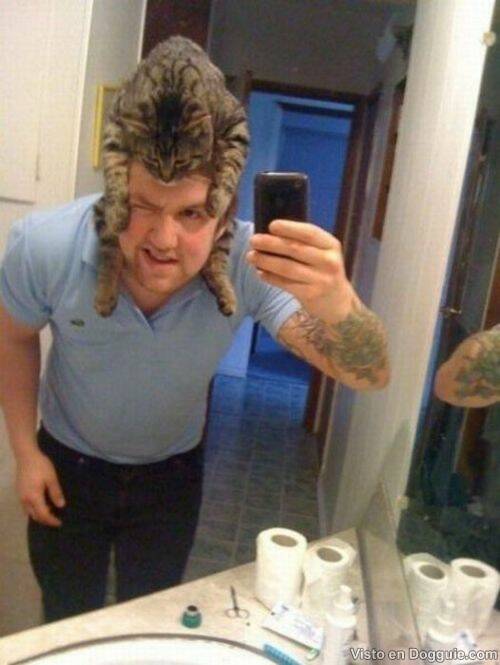 1OOOcuriosidades ..: Imágenes impresionantes, graciosas, curiosas y ...