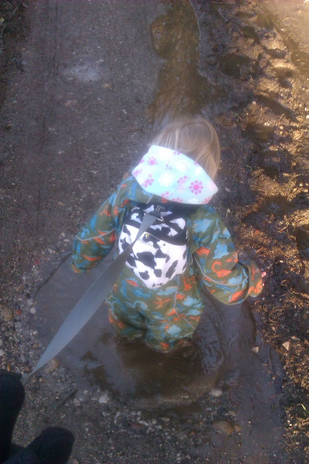 The Ish Mother Puddle Hunting the-ish-mother-puddle-hunting