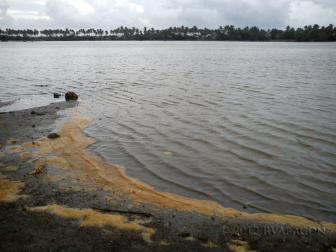 have pens & lens, will travel: Buguey Lagoon