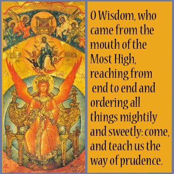 St. Rafe's: The O Antiphons Illustrated