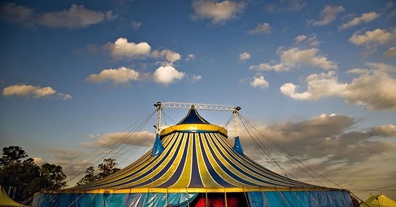 Biigthais: 12 curiosidades sobre o circo