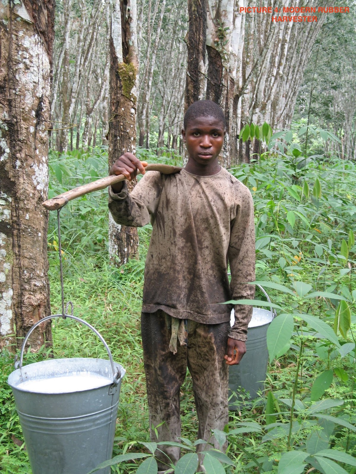 Charlestown High World History: Station 3- Impact of Imperialism in Congo