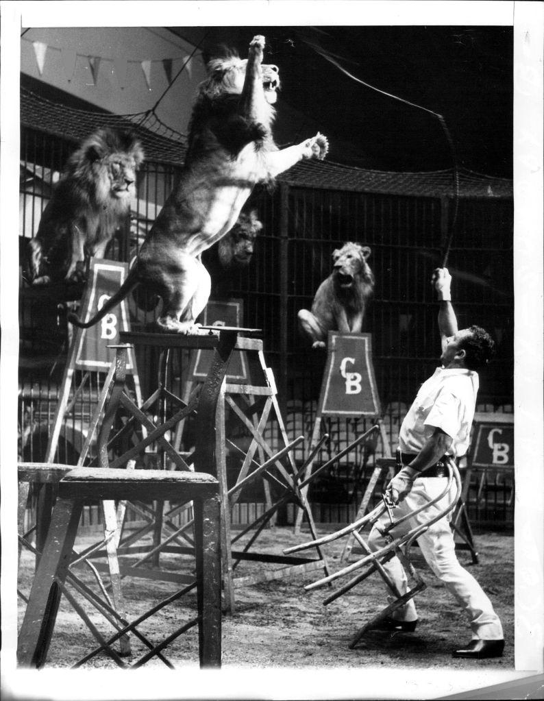 The Circus "NO SPIN ZONE": 05/27/12