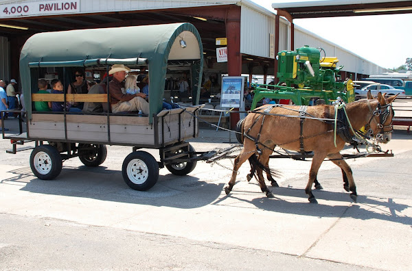 Journal Jots: Horses Pulling Wagon