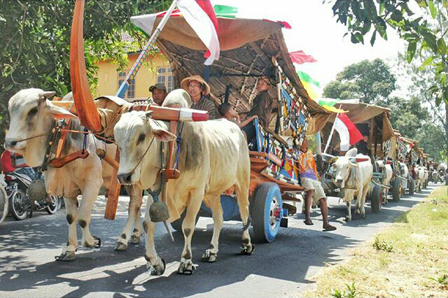 Festival Gerobak Sapi Festival Gerobak Sapi Fgs 2015 Pelangi Peradaban