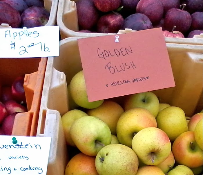 Golden Blush - Adam's Apples