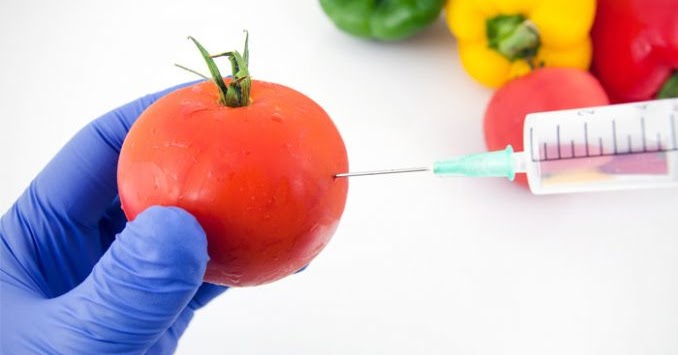 Vivere in modo naturale: Studio conferma che il DNA umano assorbe gli ...