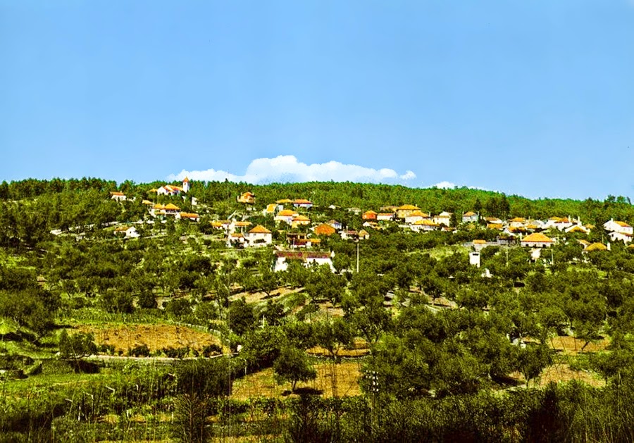 Retratos de Portugal: Mação - Vales de Cardigos - Vista Geral