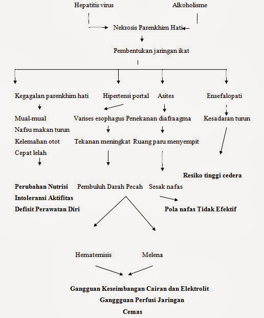 Dunia Keperawatan: LAPORAN PENDAHULUAN SIROSIS HEPATIS