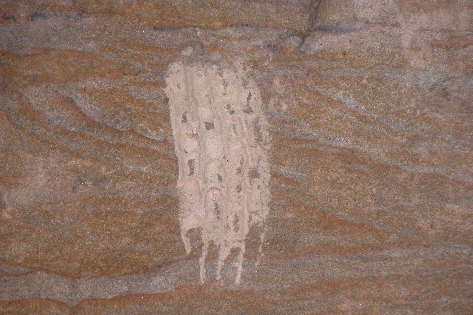 Earth Insight Cache: Sandstone weathering, exfoliation