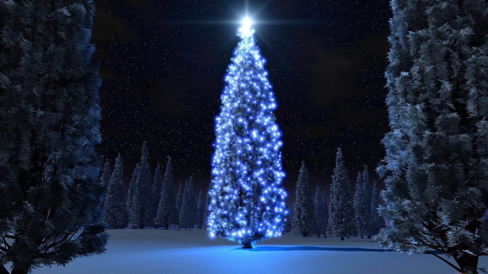Blue Christmas Tree Widescreen Wallpaper ~ Free HQ Images Gallery