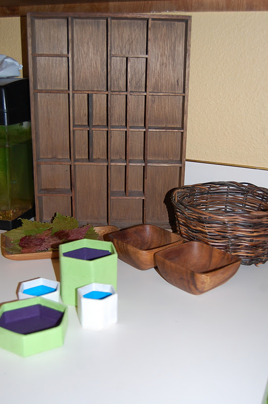 Our Creative Day: Nature Display