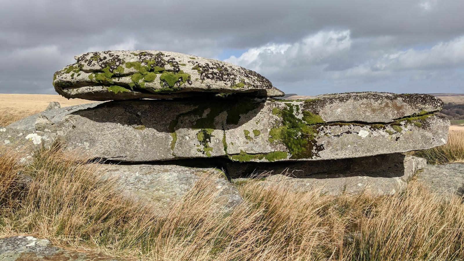 Max Piper - Tor Bagger: Dartmoor: Bagging Arch Tor