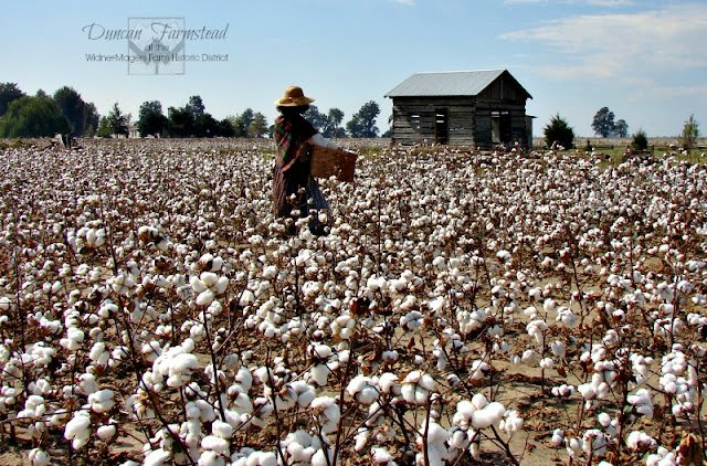 Duncan Farmstead: Fall Photo Shoot for a New Primitive Magazine