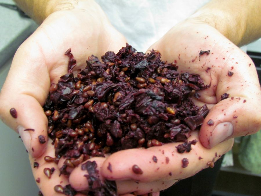 TESCOVINA cel mai puternic antioxidant descoperit până în pre­zent ...