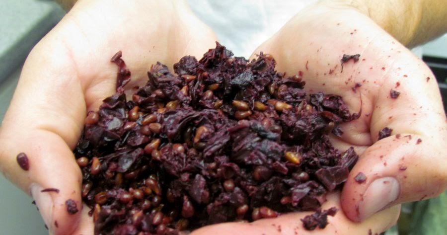 TESCOVINA cel mai puternic antioxidant descoperit până în pre­zent ...