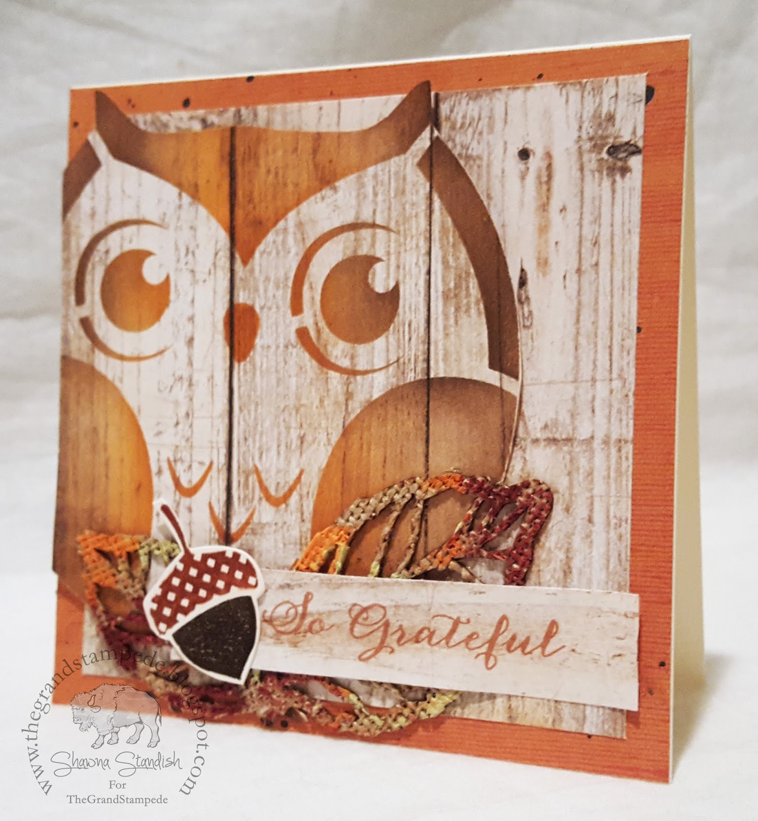 TheGrandStampede: Autumn Owl