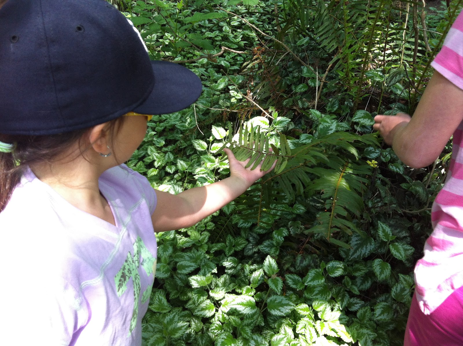 Journey with an iPad: Videolicious and Plant Discovery