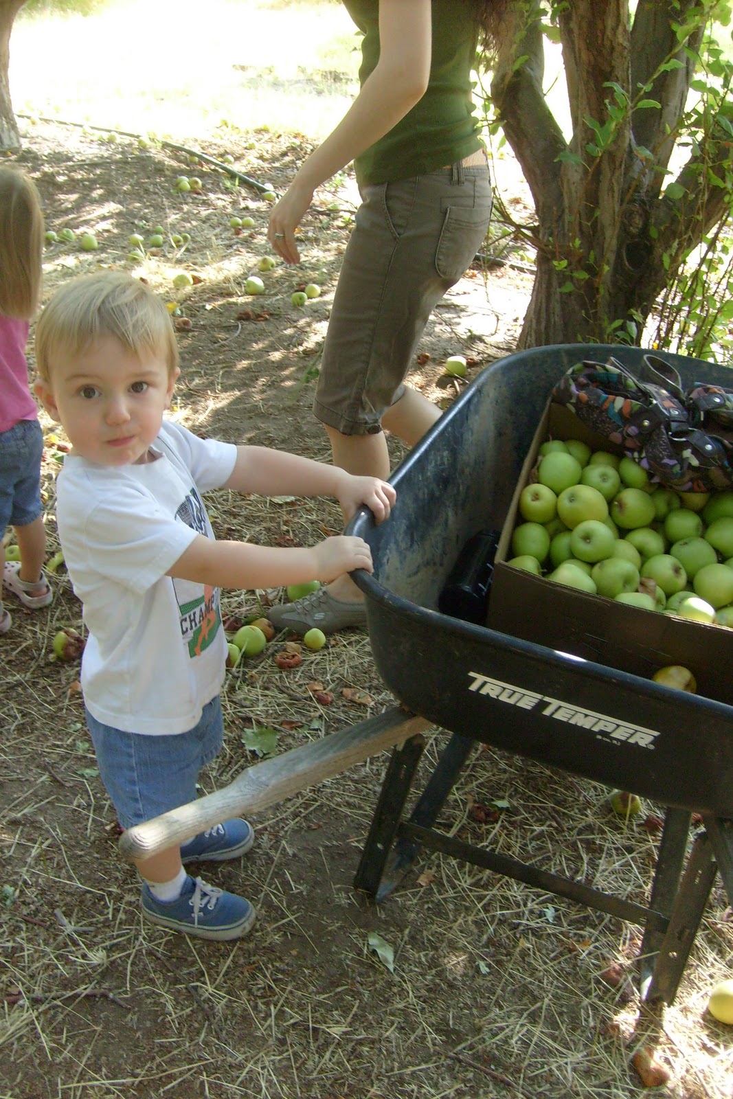 Toddler To Do: Pick Your Own Produce!