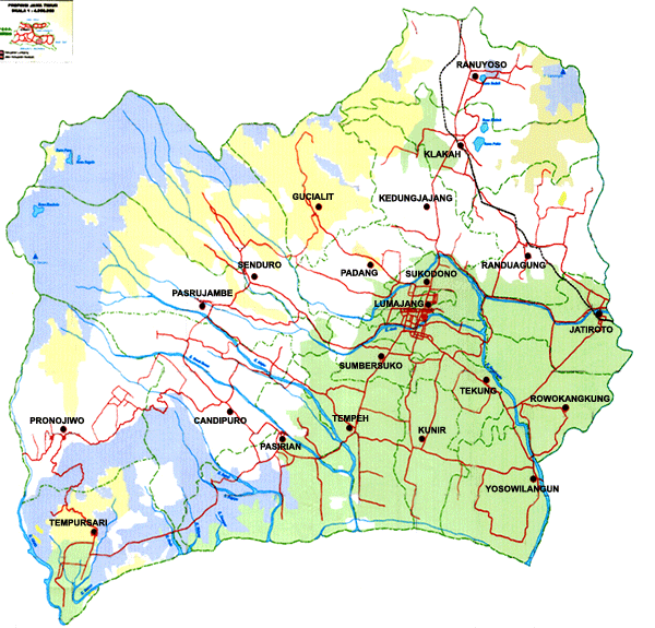 Dimas Andika: Kabupaten Lumajang