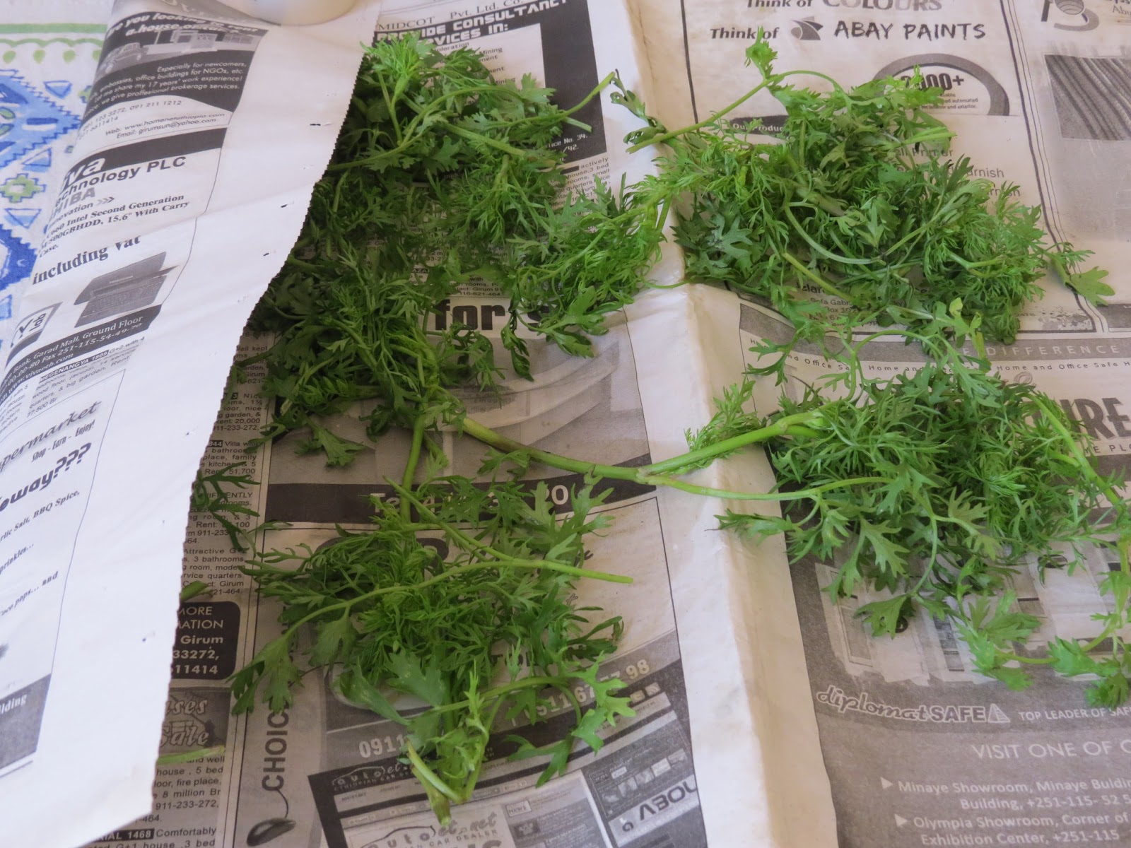 With Love from Mom's Kitchen: How to Increase The Shelf Life Of Fresh ...