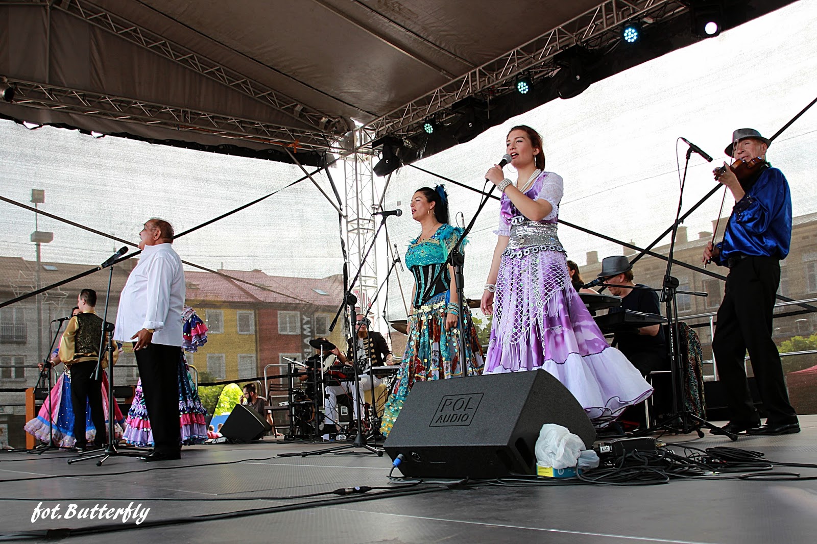 Foto Blue Butterfly: DON WASYL