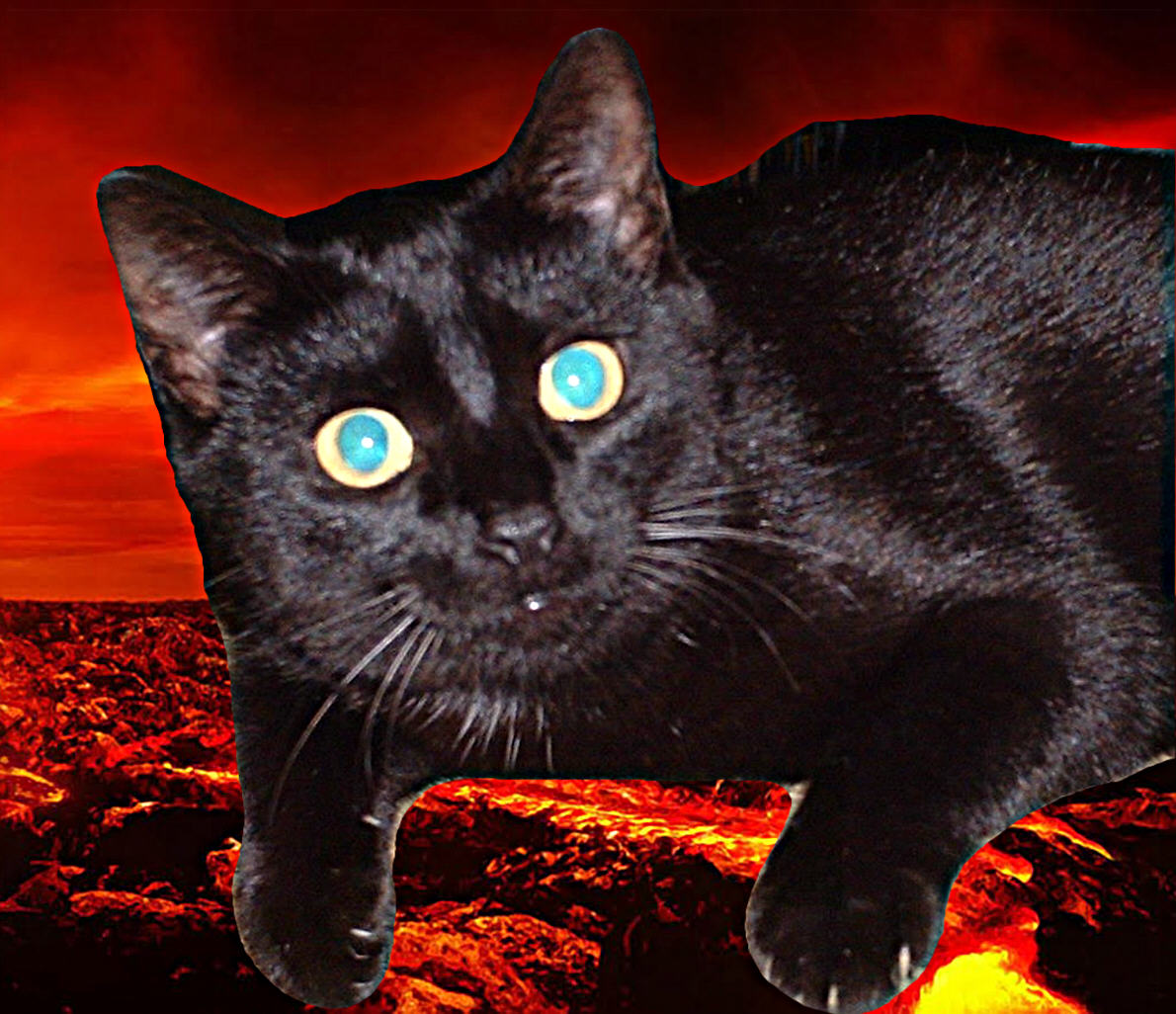 Gabriela: The Demon Cat Series, Pt. 2