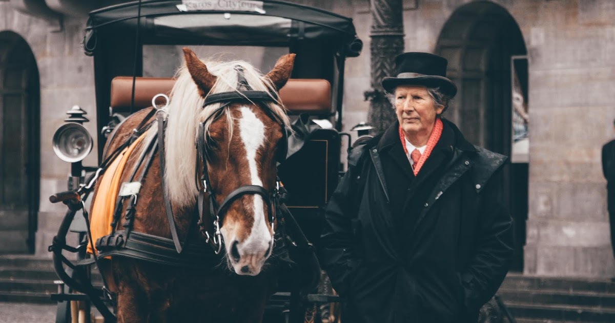 Tìm hiểu good whip là gì và dùng trong làm bánh như thế nào