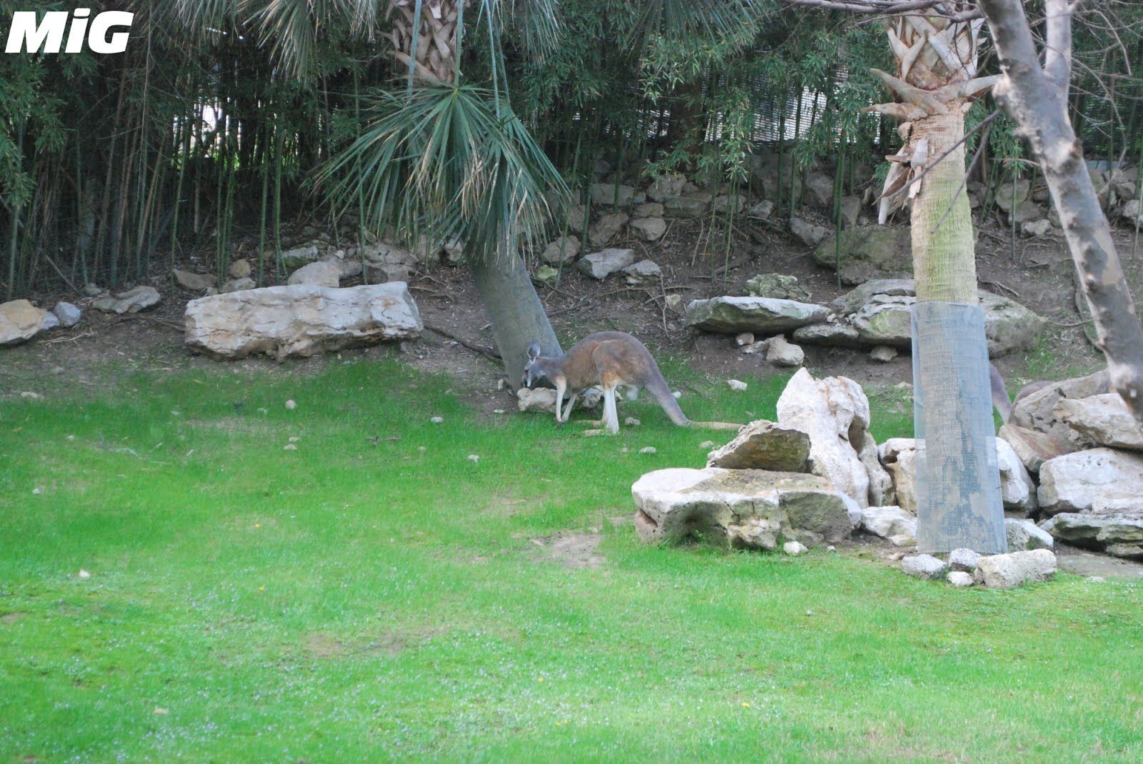 MidwestInfoGuide: Fort Worth Zoo